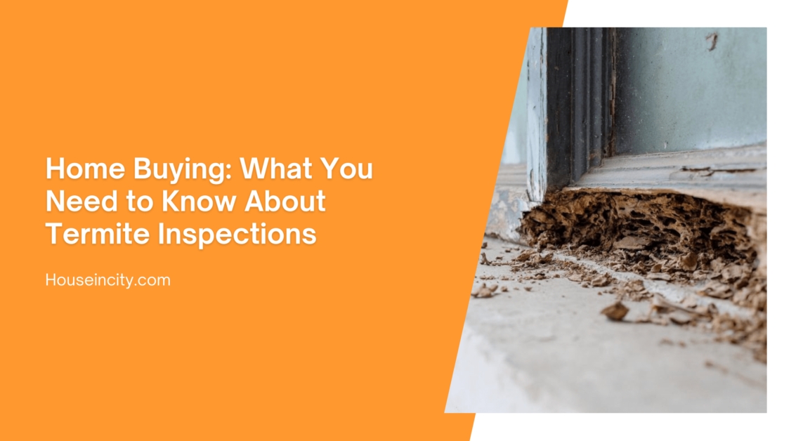 Home Buying: What You Need to Know About Termite Inspections ...